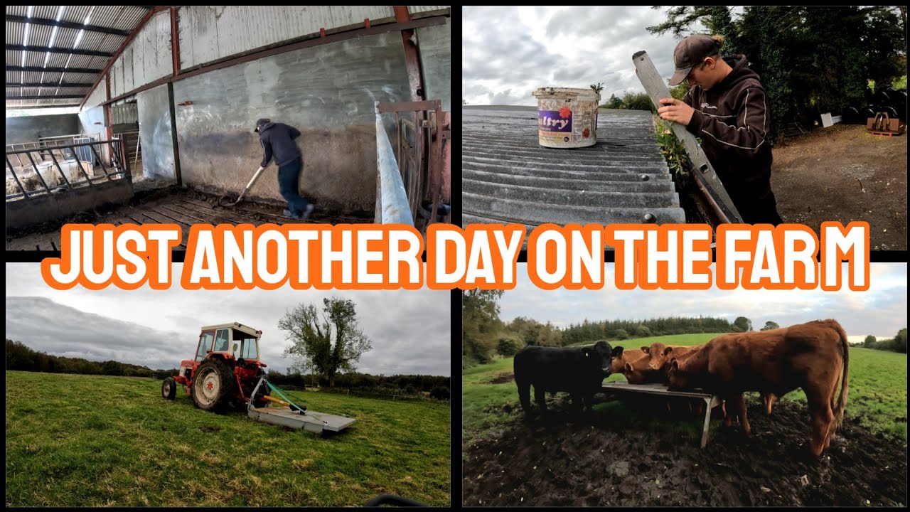 SPEND A DAY WITH ME ON THE FARM!!! - YouTube