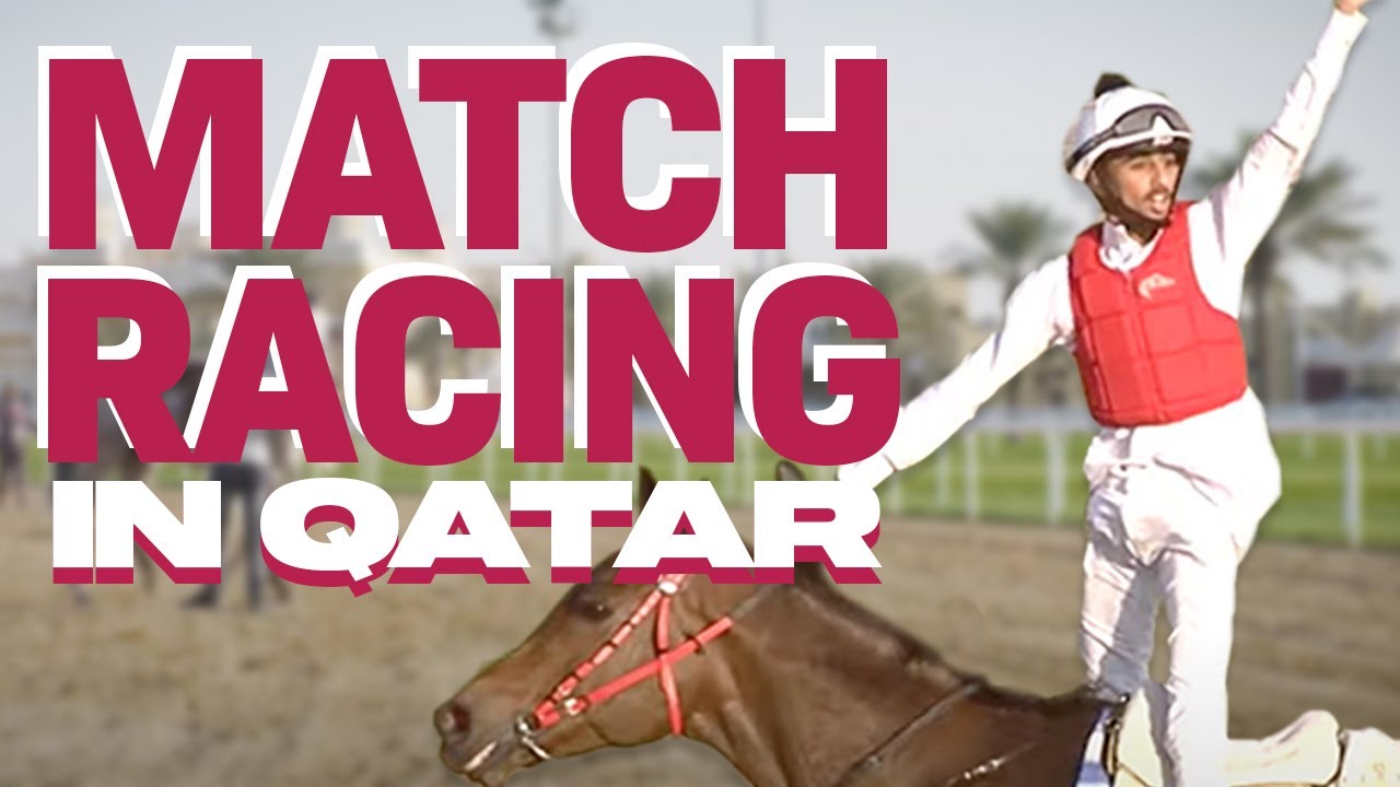 The Famous Two-Horse Match Racing In Qatar - YouTube