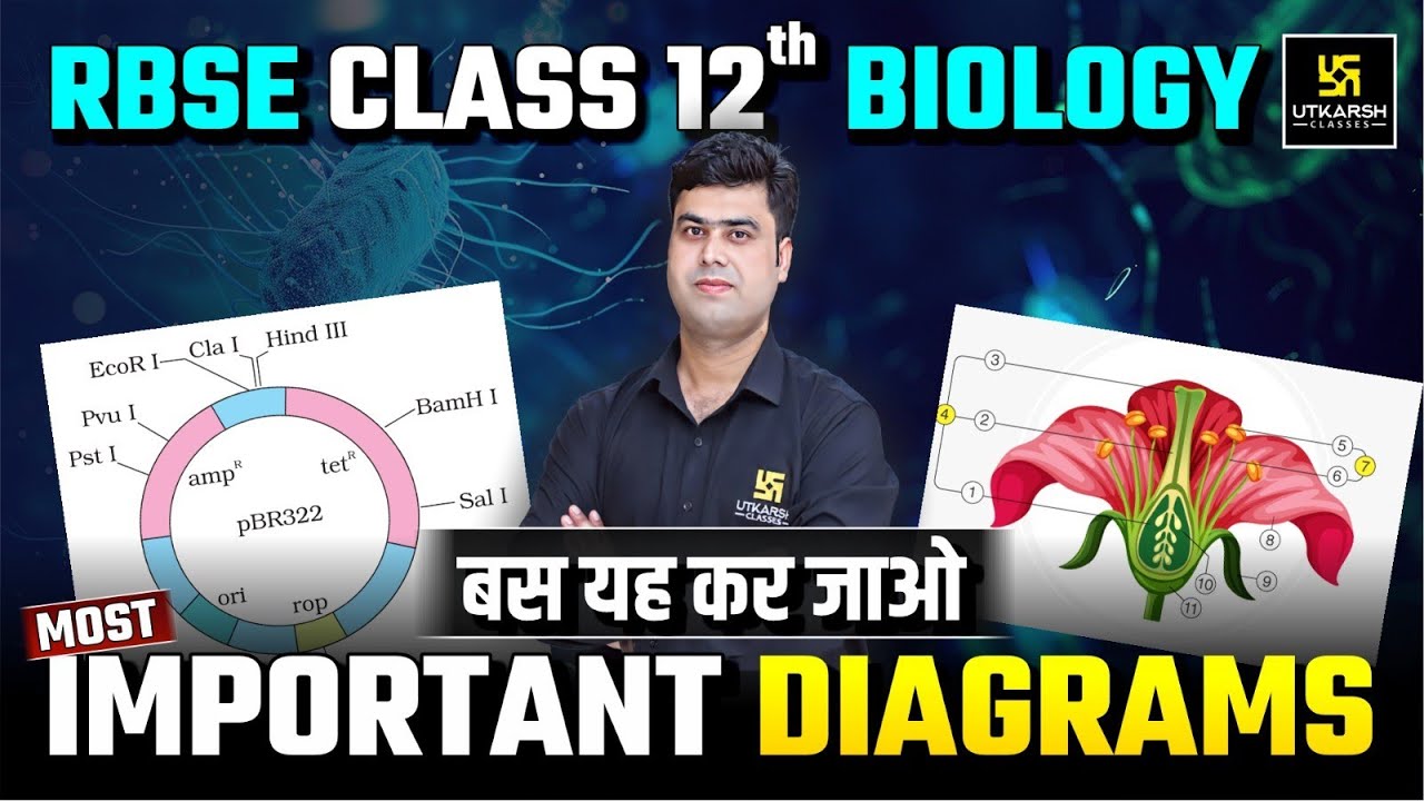 RBSE Class 12 Biology: All Important Diagrams in One Shot l Krishnakant ...