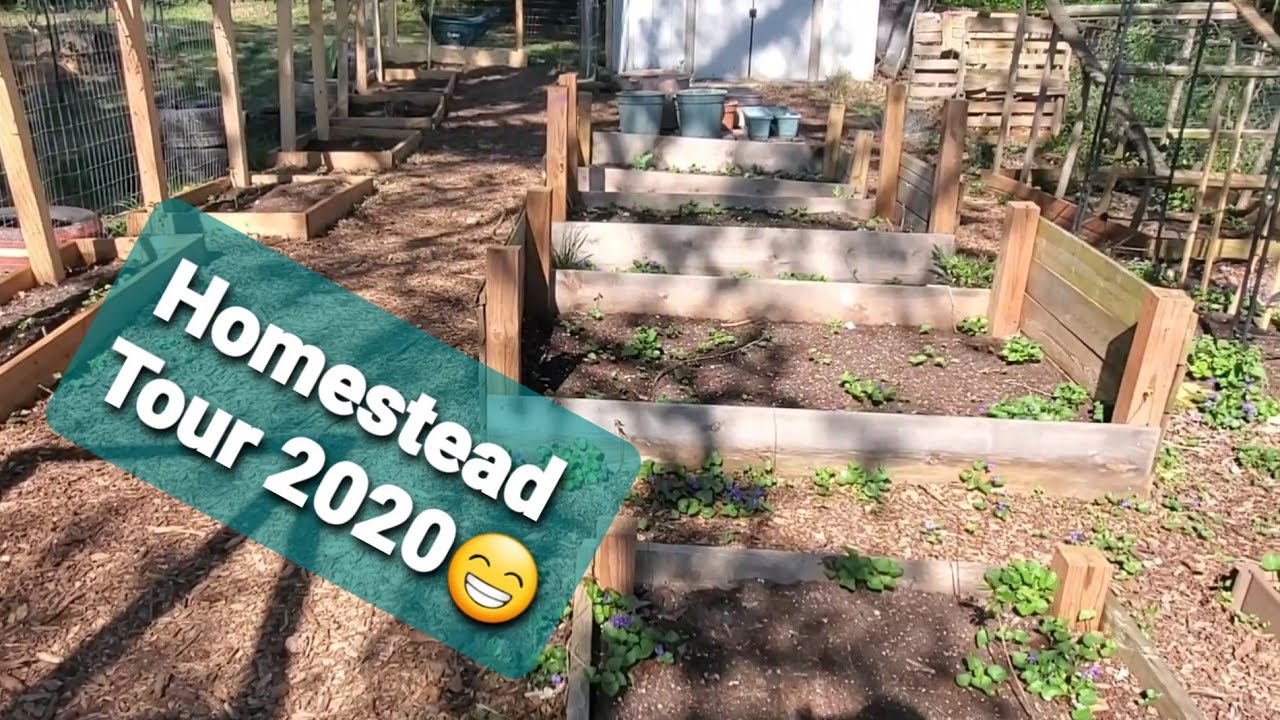 Homestead Tour 2020 | Urban Homesteading - YouTube