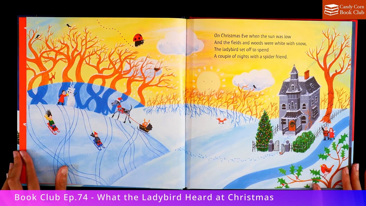 Book Club Ep 74 - What the Ladybird Heard at Christmas - YouTube