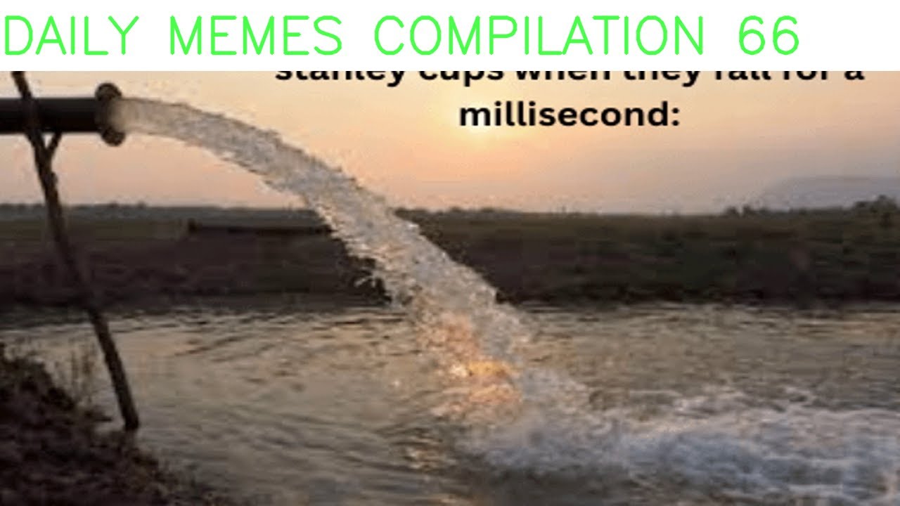 daily memes compilation 66 - YouTube