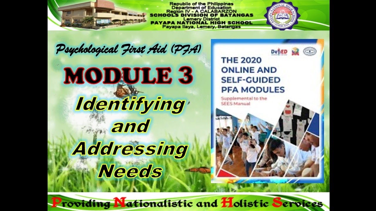 PFA Module 3: Identifying and Addressing Needs - YouTube