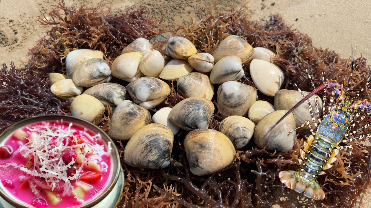 Cara Mudah Pelajari Lubang Kerang Pasir‼️Bonus Rumput laut GRATIS - YouTube