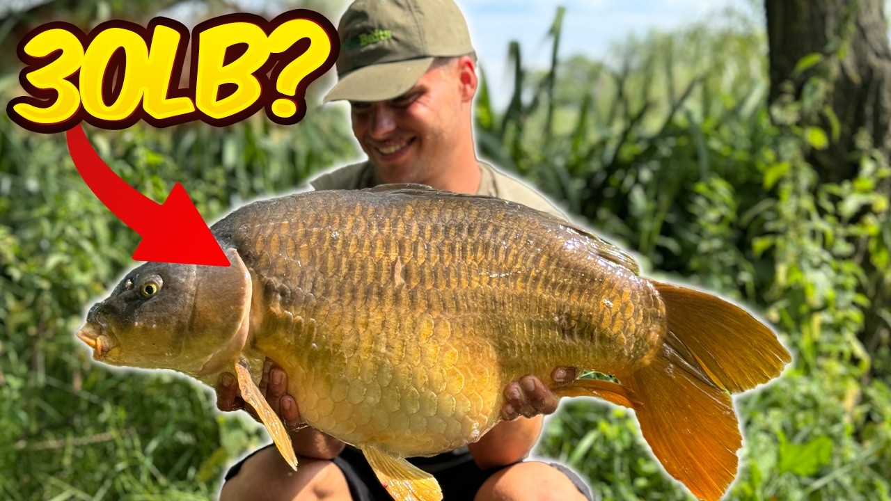 60+ Fish Caught in 48hrs! | A12 Cuton Lakes | Red Letter Seasion - YouTube