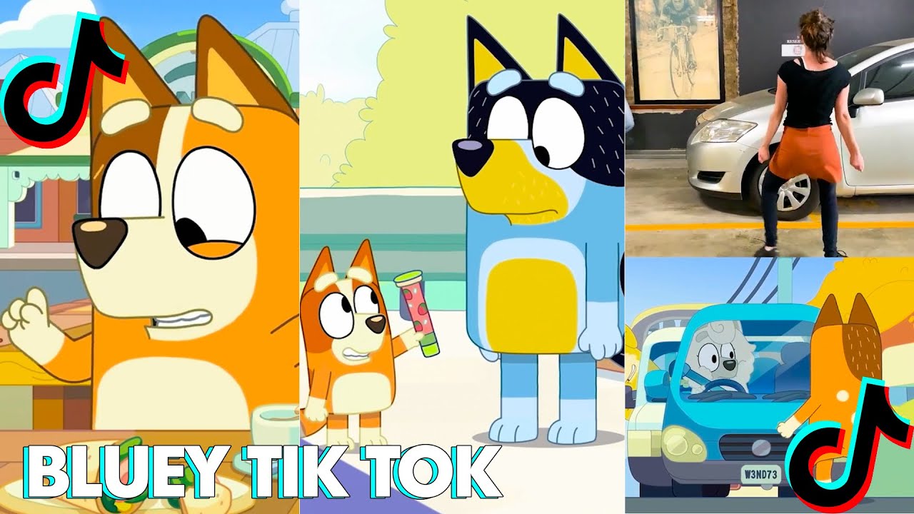 Bluey TikTok Compilation #3 - YouTube