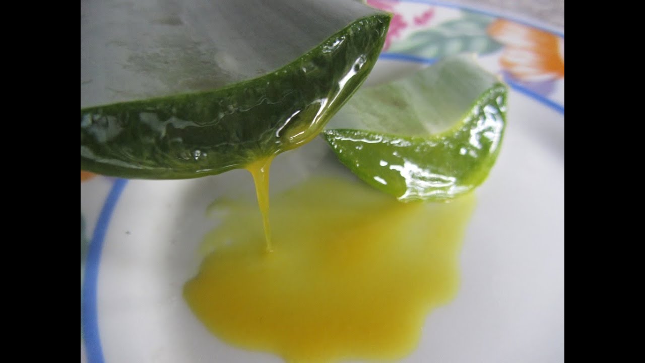 Acíbar Del Aloe Vera - YouTube