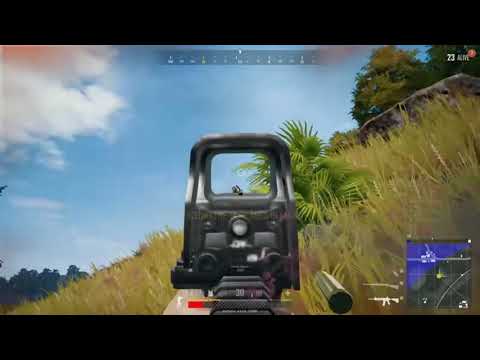 10 kill chicken dinner highlights $$$$