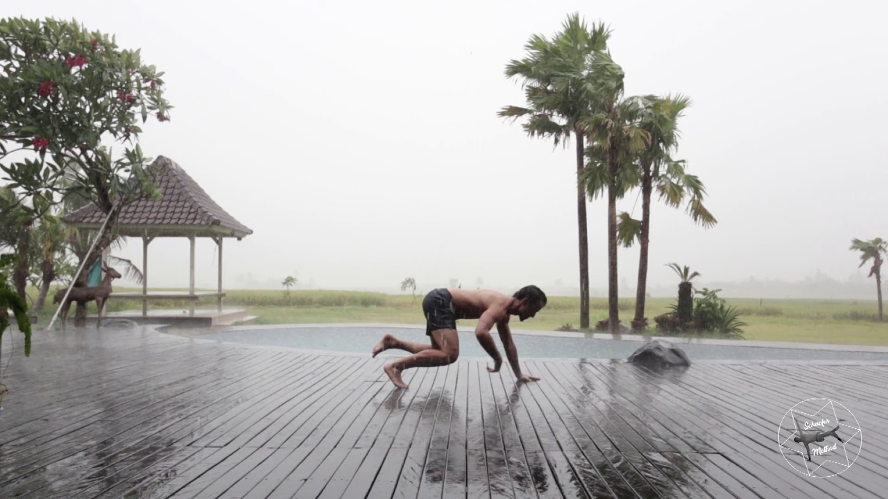 "Schaefer-Method" - animal locomotion - YouTube