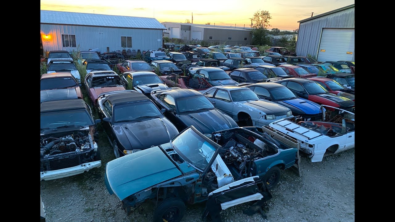 Does Encore MPW have the worlds largest collection of fox body parts ...