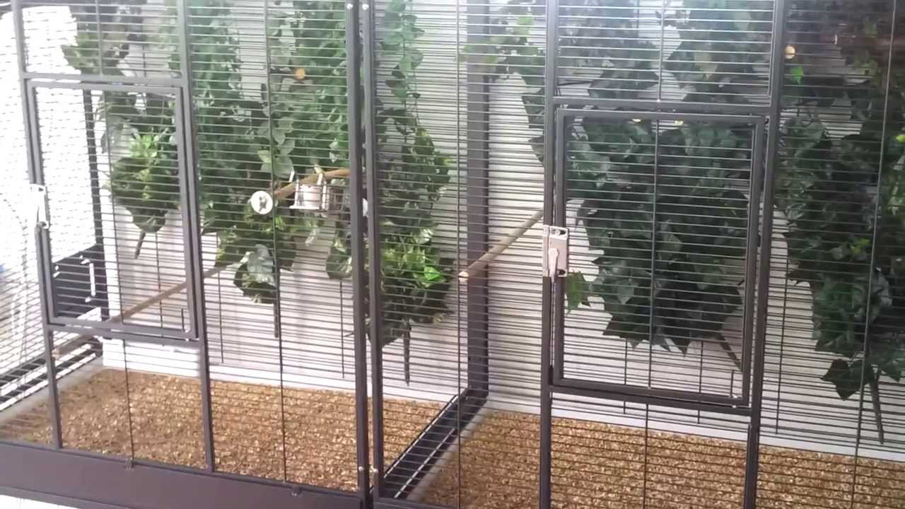 Inrichting grote vogelkooi - YouTube