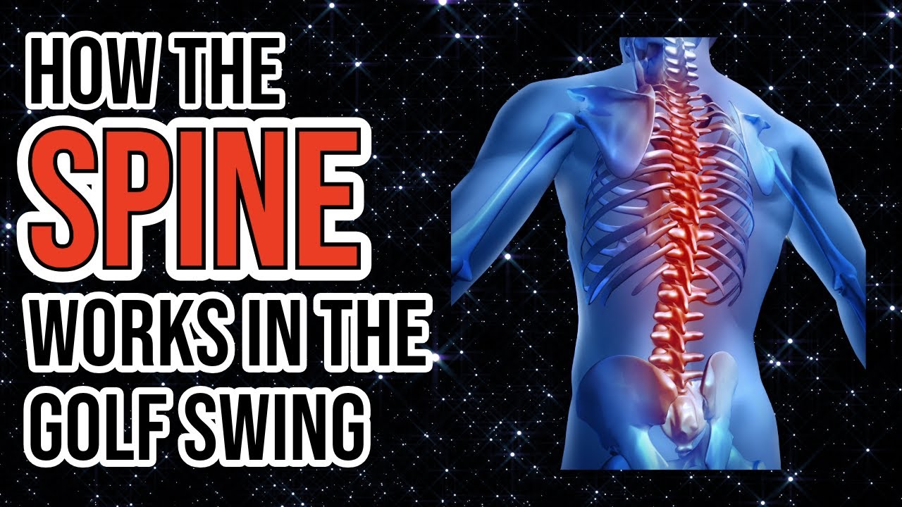 How the Spine Works in the Golf Swing - YouTube
