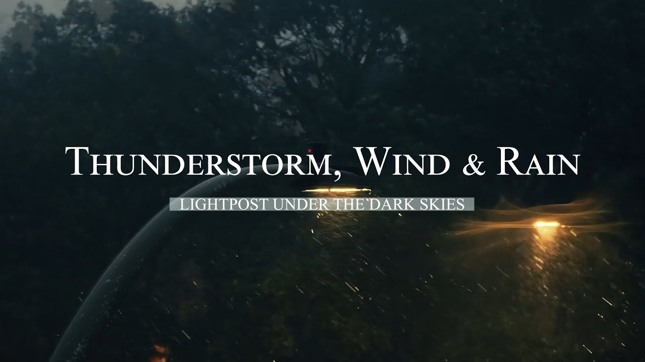 Thunderstorm, Wind & Rain || Sleep, Relax, Calm and empty your mind ...