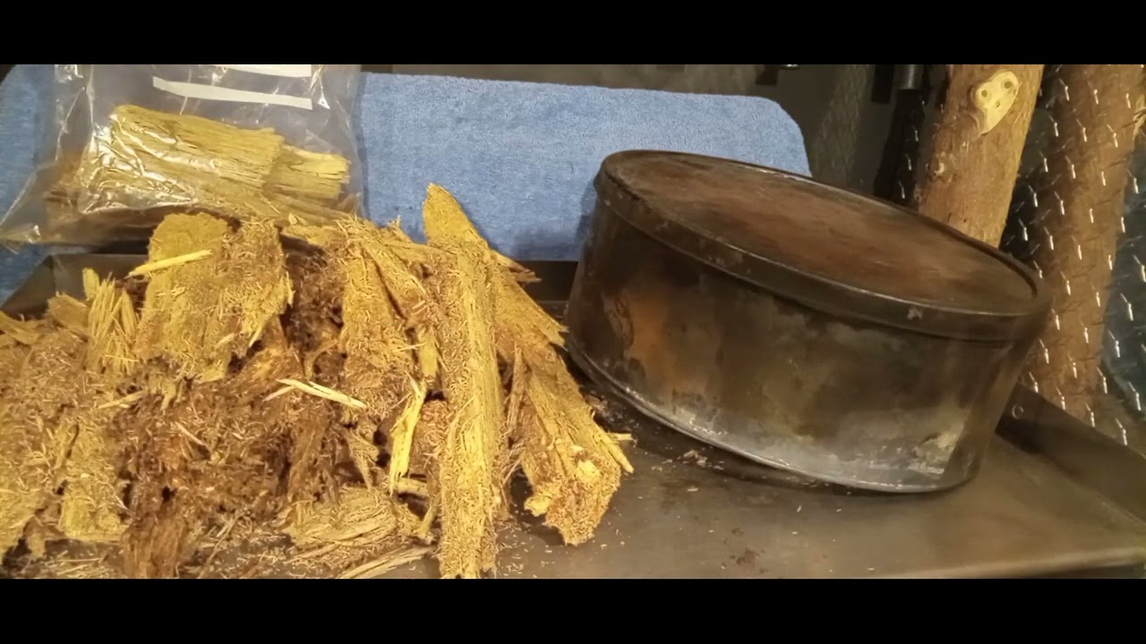 Part 1 -Drying and Charring Punk Wood for Flint and Steel Fire 🔥 - YouTube