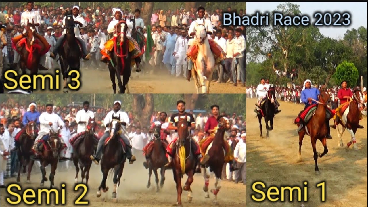 All Semifinal of Bhadri race 🔥Sabhi Ache Ghode ki Jung👑Bhadri horse ...
