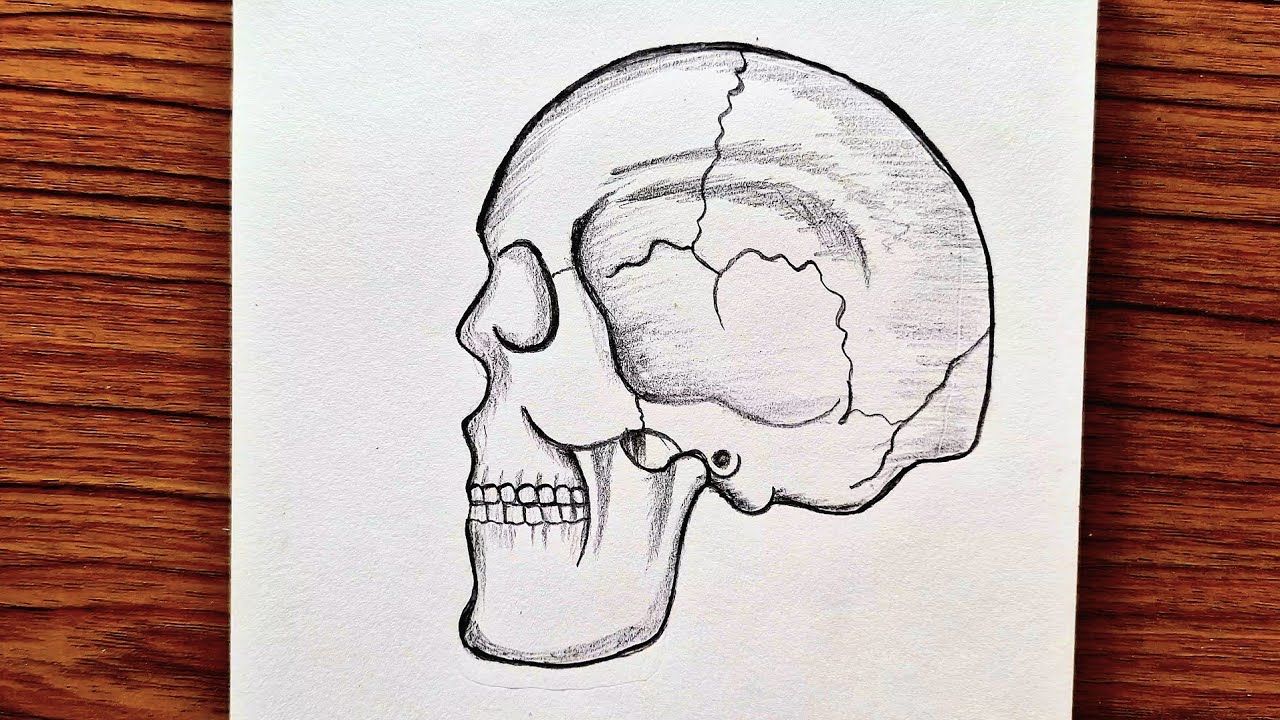 How to Draw a Skull Step by Step very easy - YouTube