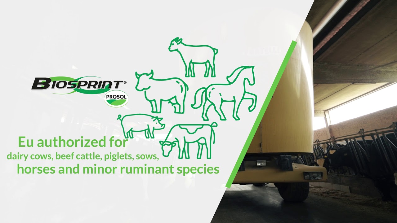 PROSOL - BIOSPRINT® - Live Yeast - Lievito vivo zootecnico - YouTube