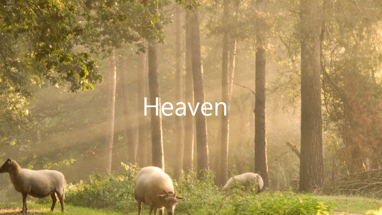 HEAVEN | Ambient Music | Heavenly Sleep Music | ATMOSPHERE OF HEAVEN ...