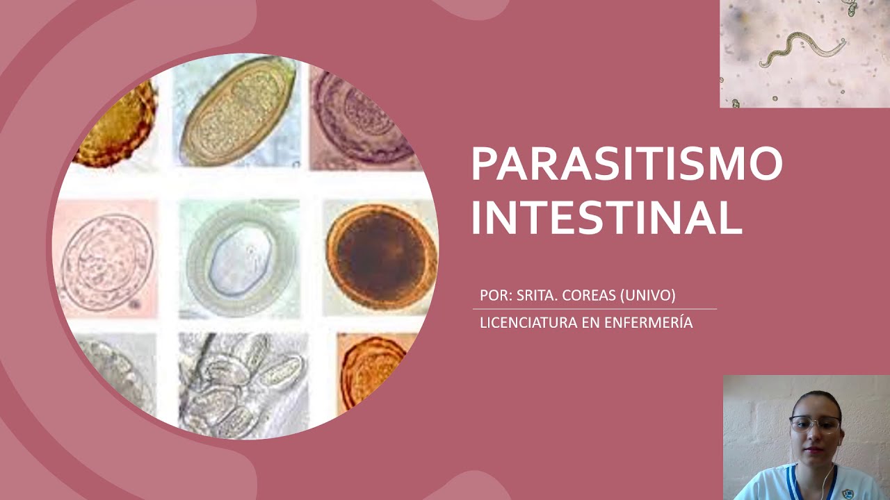 PARASITISMO INTESTINAL - YouTube