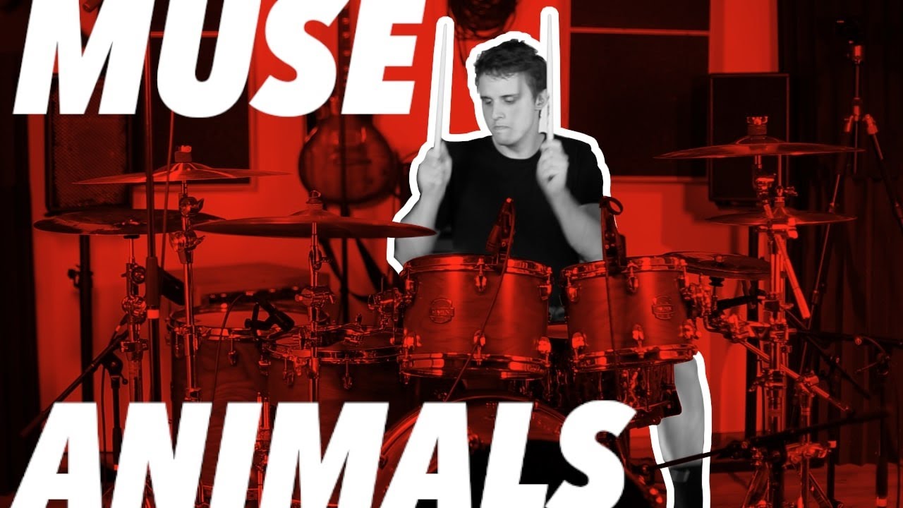 Muse - Animals - Drum Cover - YouTube