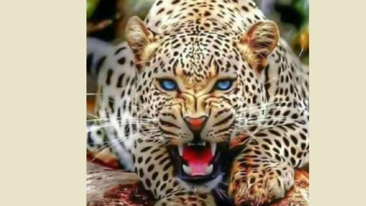 Sunday akwala - YouTube