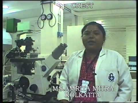Ms Amrita Mitra - YouTube