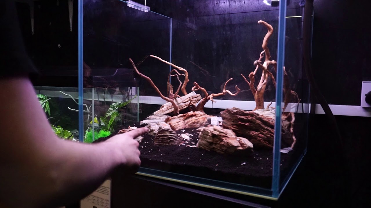 Making a Low-tech tank for AquaHome! - YouTube