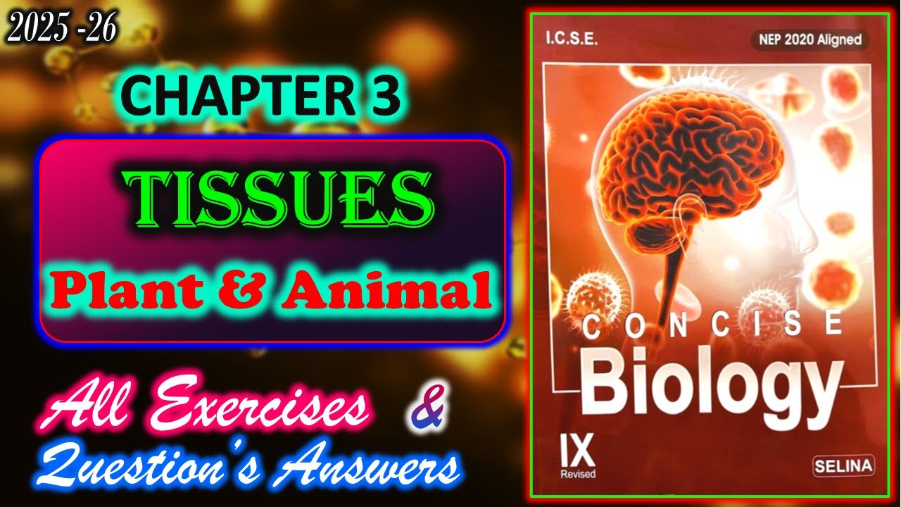 Tissues : Plant & Animal Tissue | Class 9 Biology | Chapter 3 | All ...
