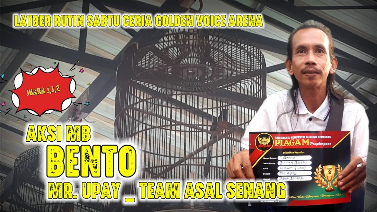 Aksi MB BENTO Mr. Upay Team Asal Senang Juara 1,1,2 di gelaran Latber ...
