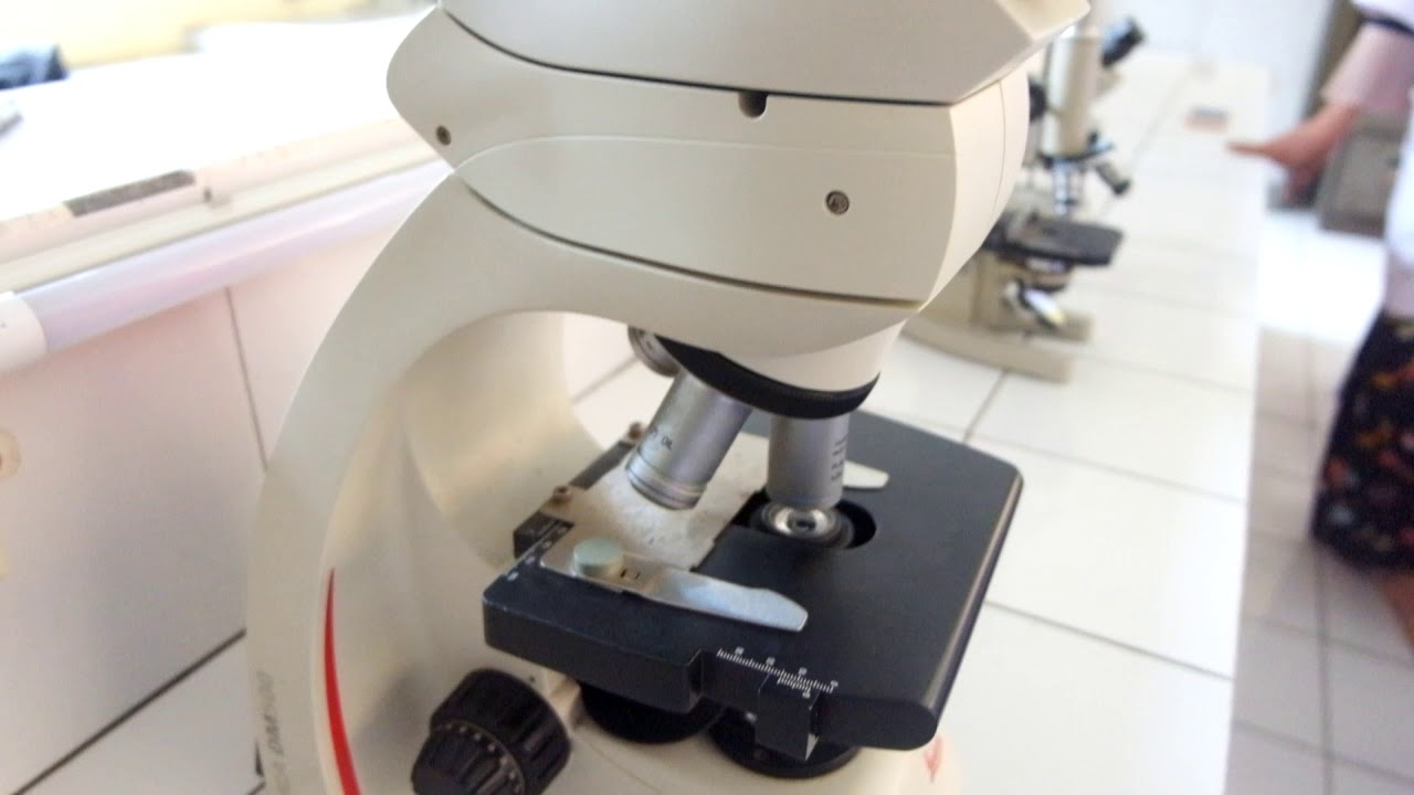 PENGENALAN ALAT LABORATORIUM (MIKROSKOP) PENDIDIKAN BIOLOGI UNTIRTA ...