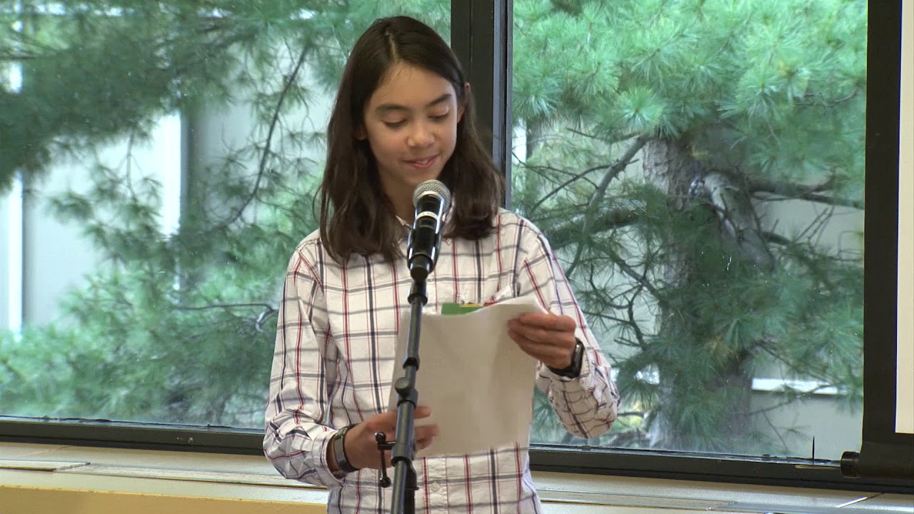 DIS2018: Mason Wicks-Lim, "The Story of a Youth Activist with a ...