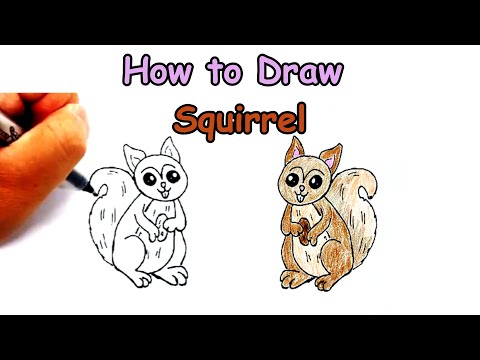 How to Draw Squirrel for Kids. Step by Step for begginer - YouTube