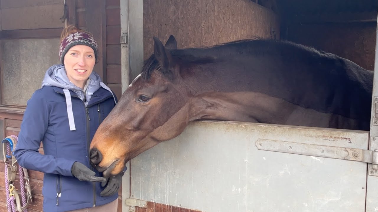 Solicitor and Horsewoman Hannah Pedley Running a Half Marathon to Raise ...