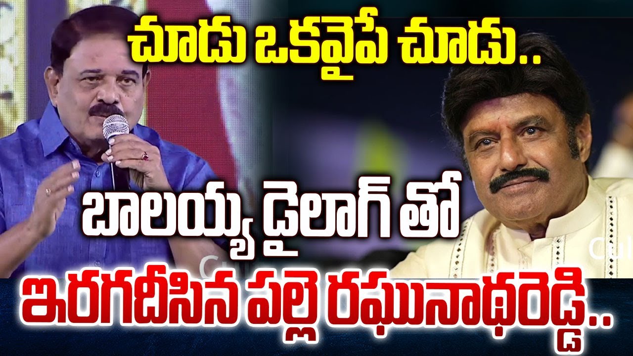Palle Raghunatha Reddy Says Balayya Dialogues At Balakrishna Padma ...