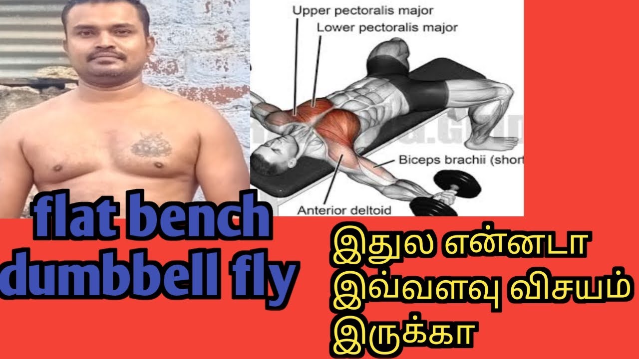 Flat bench dumbbell fly workout good for pectrolaes muscle - YouTube