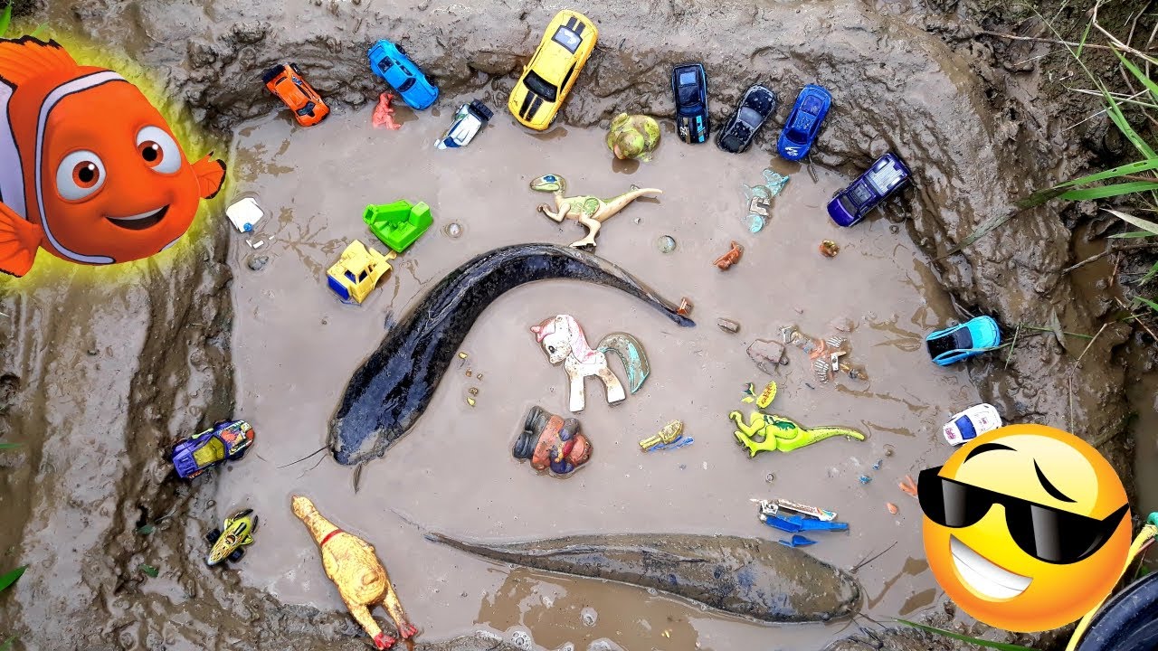 MENCARI MAINAN ANAK-ANAK DINOSAURUS, IKAN, MOBIL - YouTube