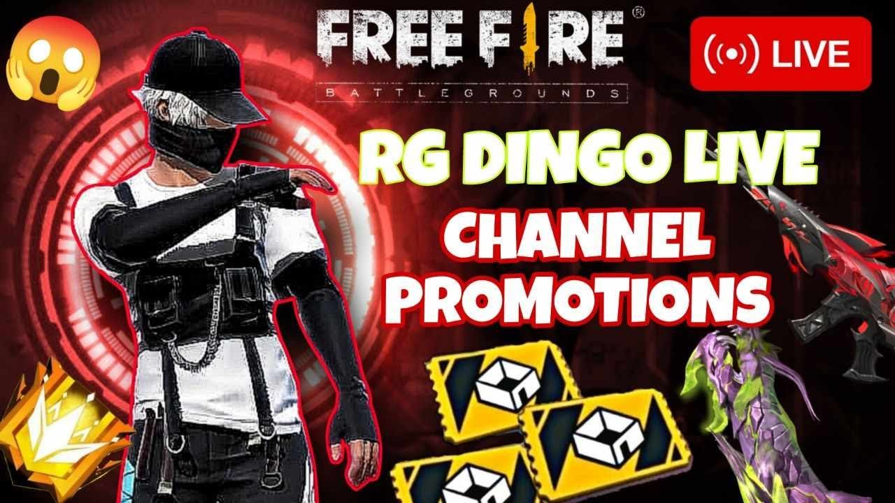 Live streaming of RG DINGO LiVE - YouTube