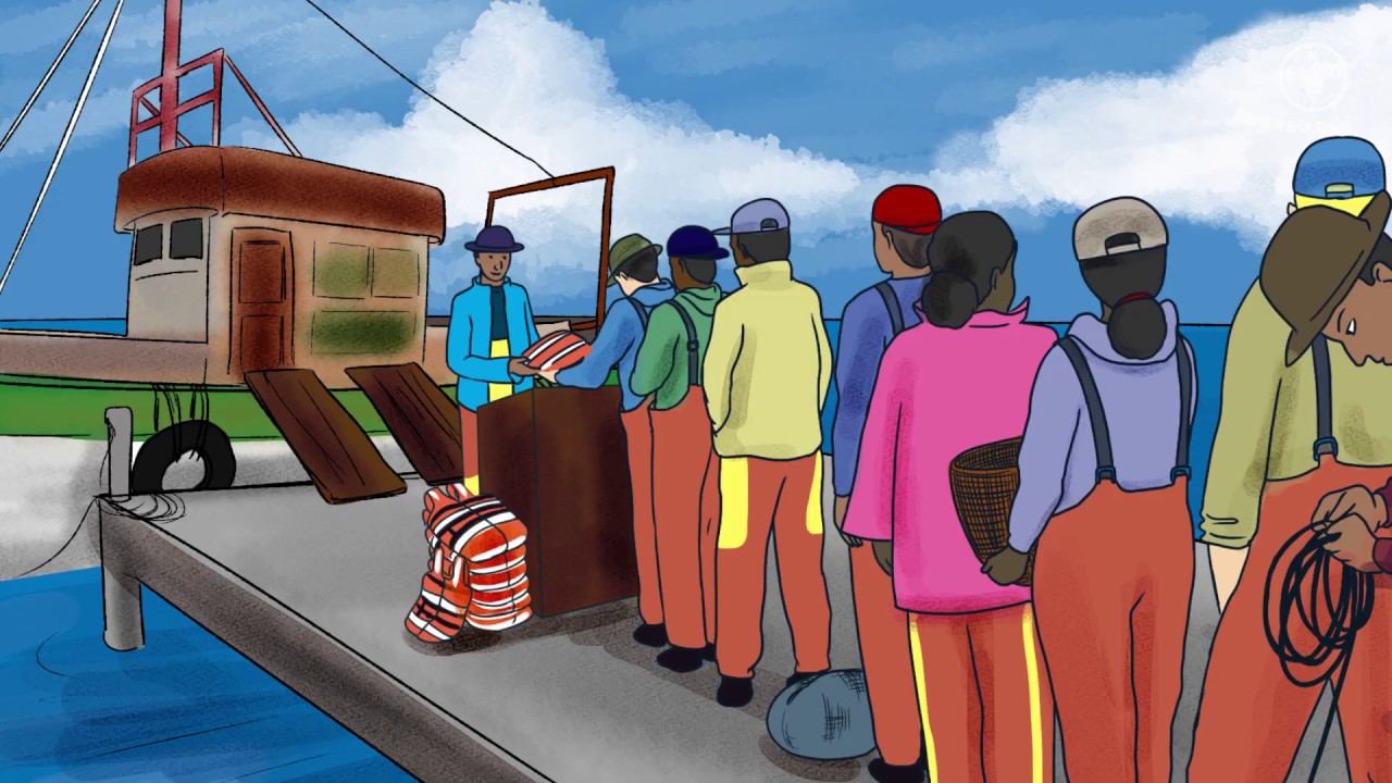 SSF Guidelines: Social development, employment and decent work - YouTube