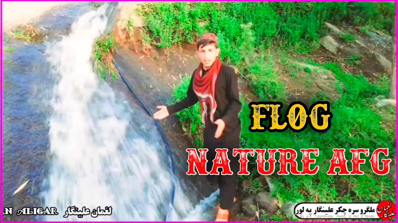nature AFG nature my first flog video #viral #foryou #nature #flowers # ...
