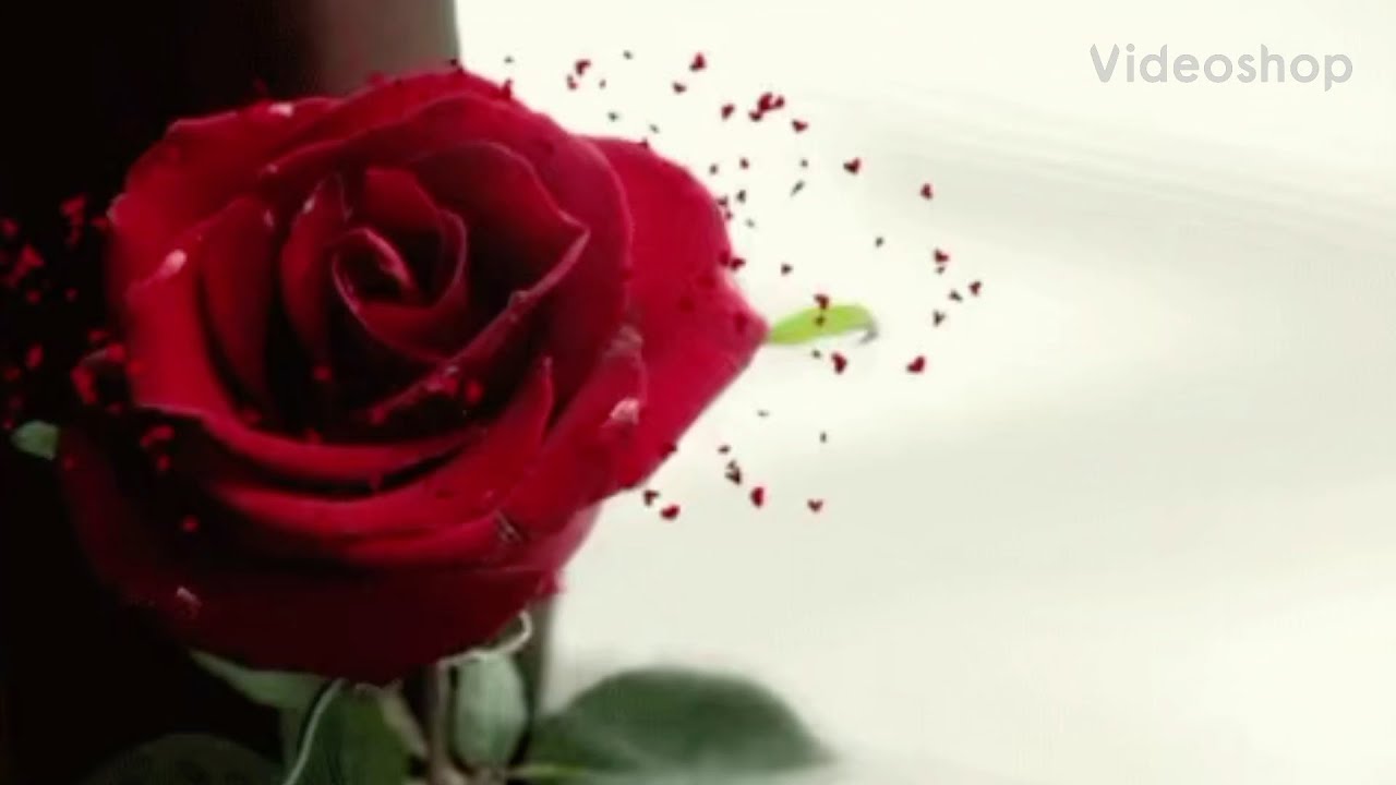 The Anna Anointing - YouTube