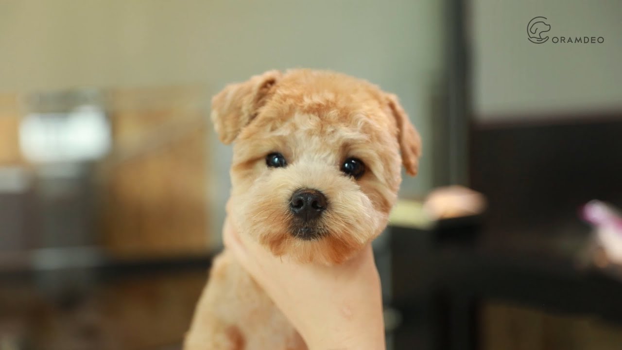 Hey! you too! I can do it (actually, this is my first time too..)😎 ...