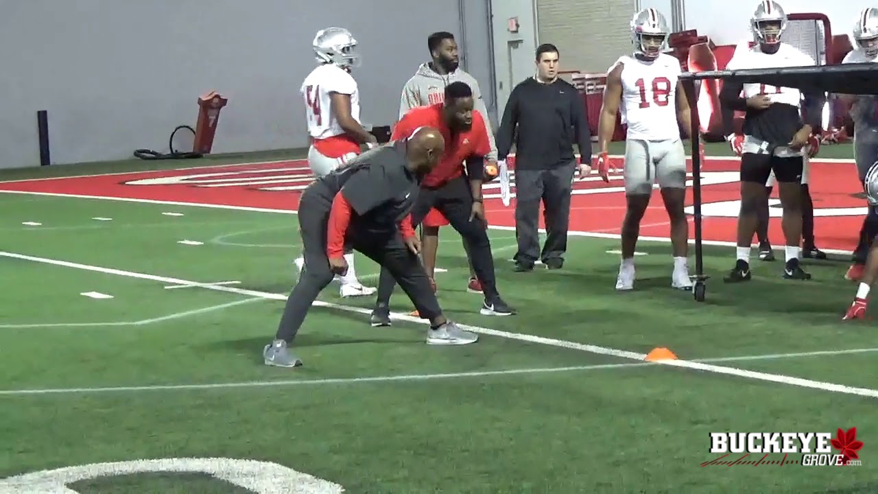 Ohio State Buckeyes football: Larry Johnson brings the energy as ...