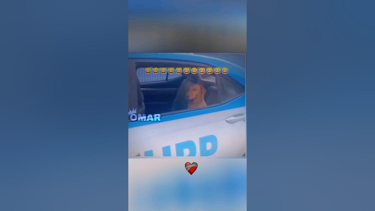 Mr bombastic . - YouTube