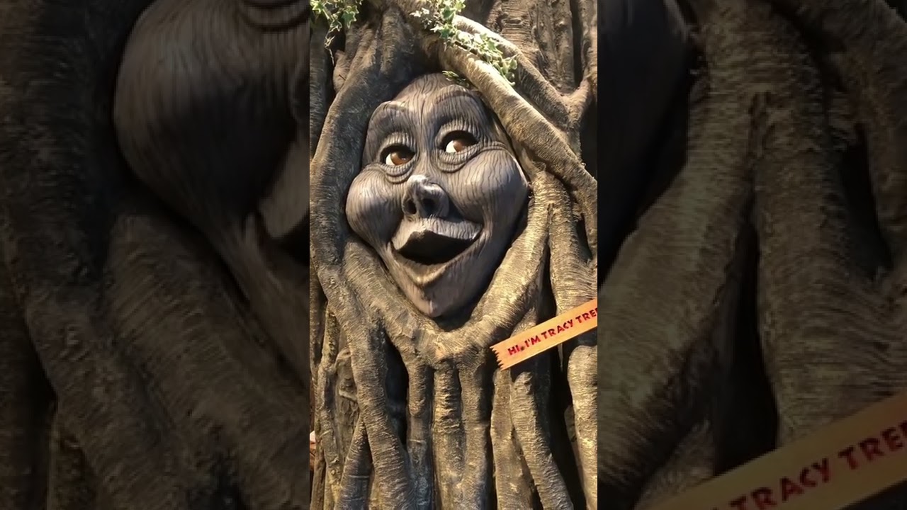 The talking tree at rainforest cafe - YouTube