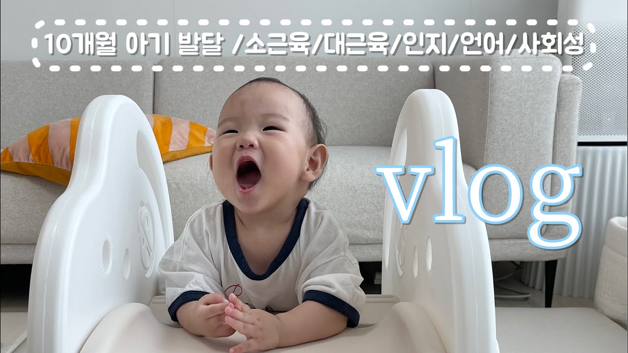 육아브이로그 10개월 아기 발달 점검대근육 소근육 인지 언어 사회성 3차 영유아검진 결과📝 Youtube