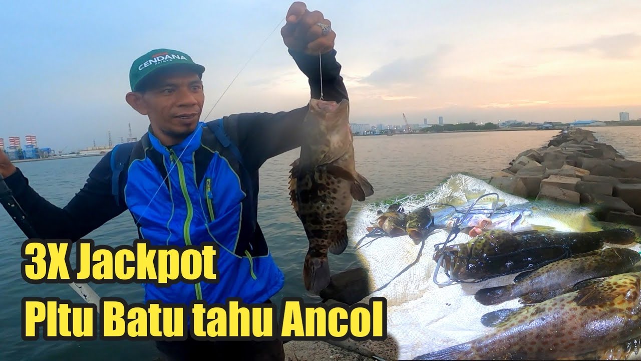 Ikan serinding lagi Gacor di Pltu Batu Tahu Ancol⁉️ - YouTube