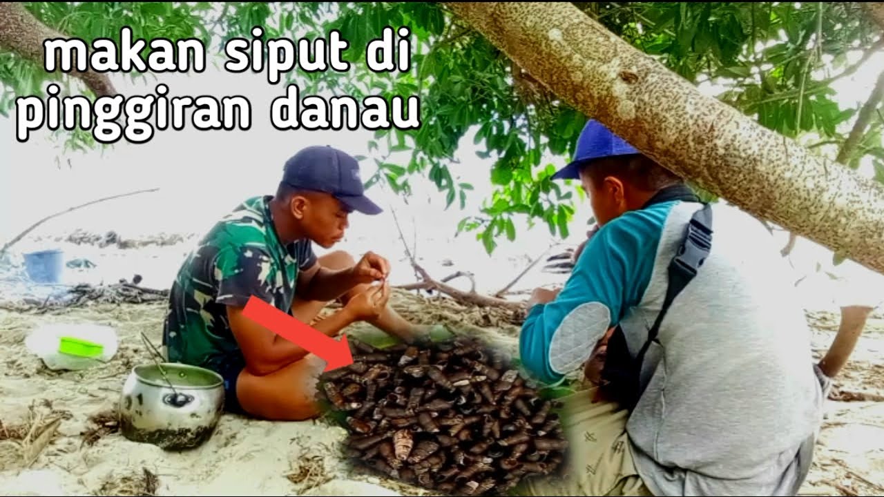 Cari siput di batu-batu pinggiran danau #siput #mukbang #berpetualang # ...
