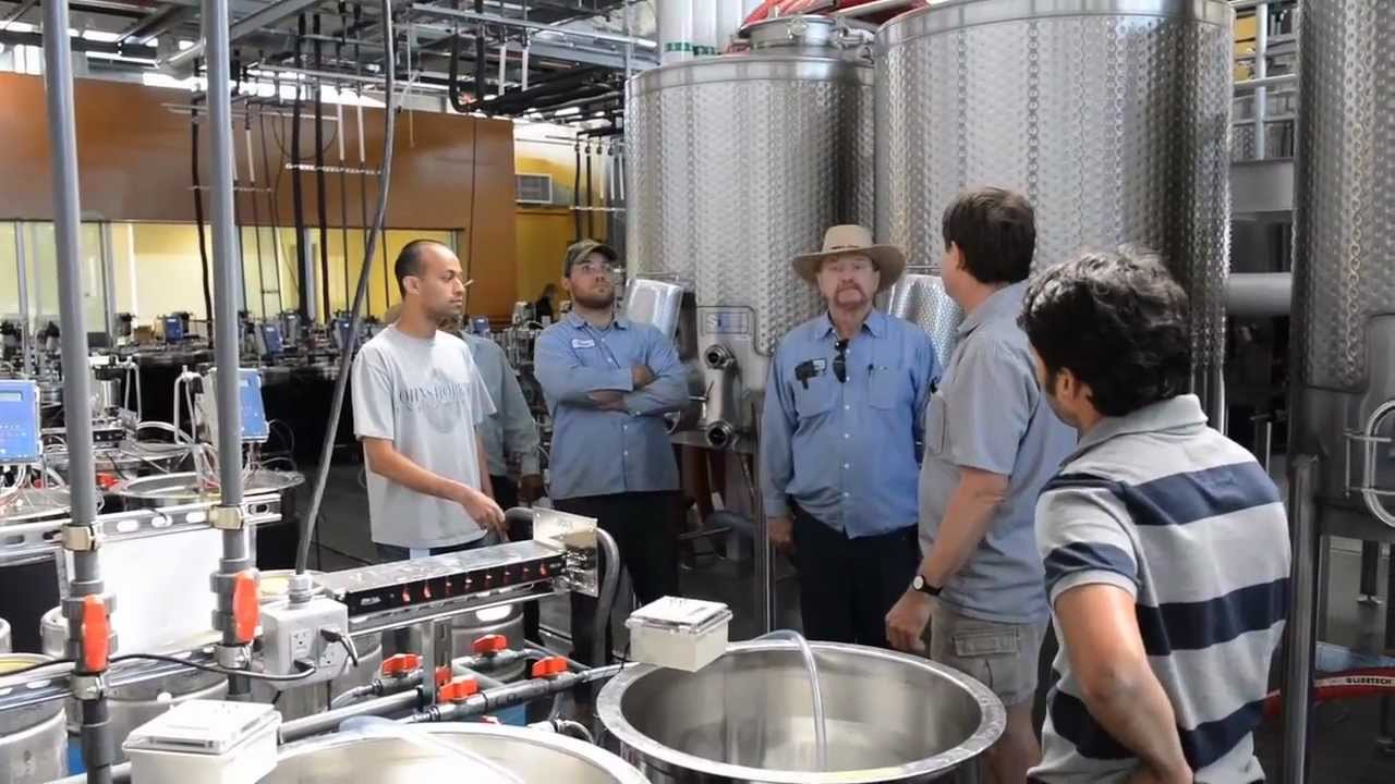 Advanced Technology Creates Sophisticated Winemaking Process - YouTube