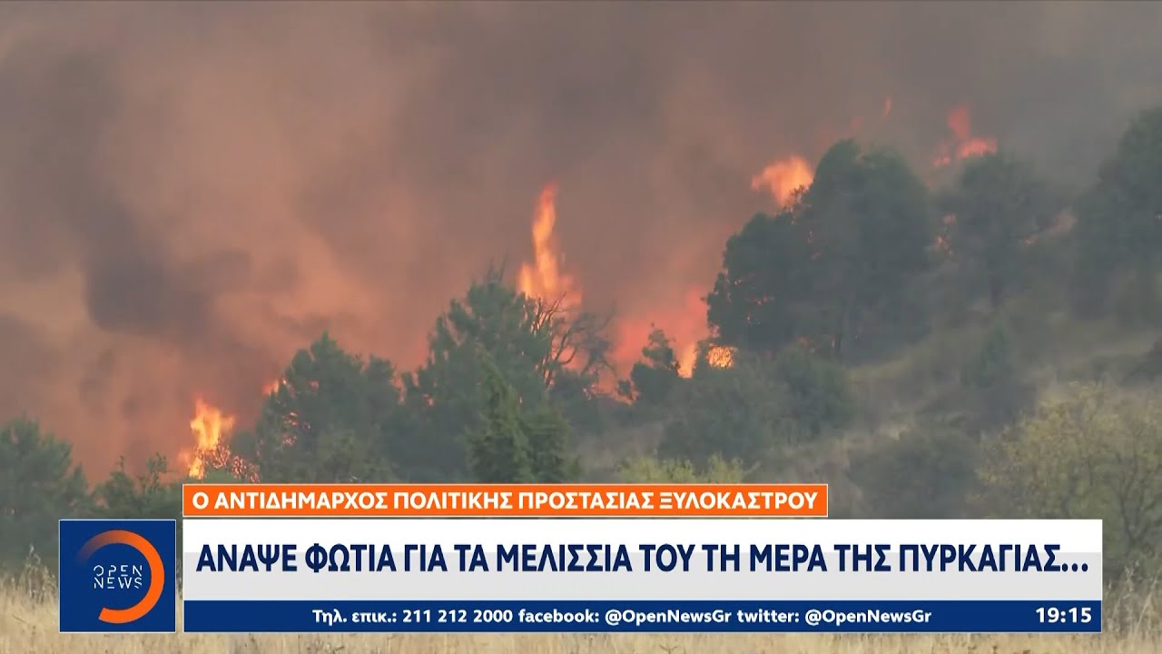 Άναψε φωτιά για τα μελίσσια του τη μέρα της πυρκαγιάς.... ο ...