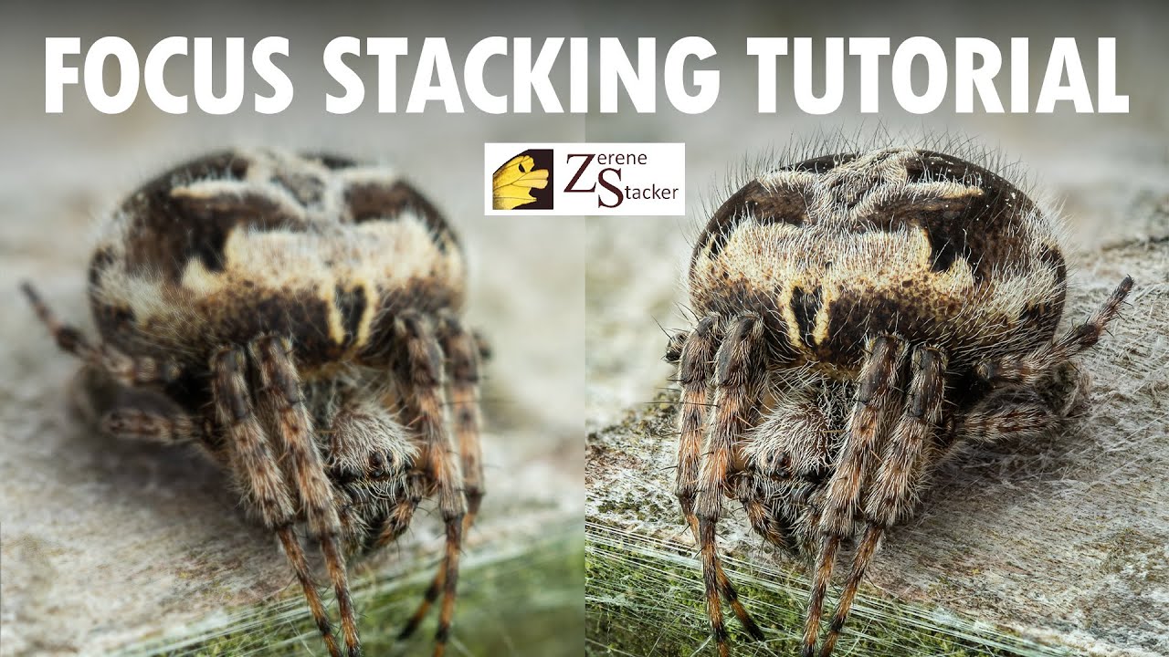 How To Focus Stack In Zerene Stacker - YouTube